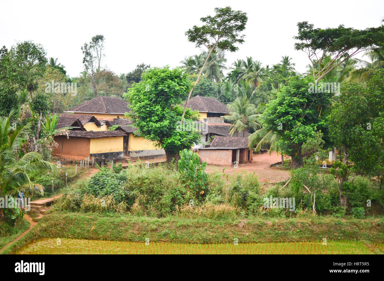 Beautiful landscape of rural India. Scene captured during travel by ...