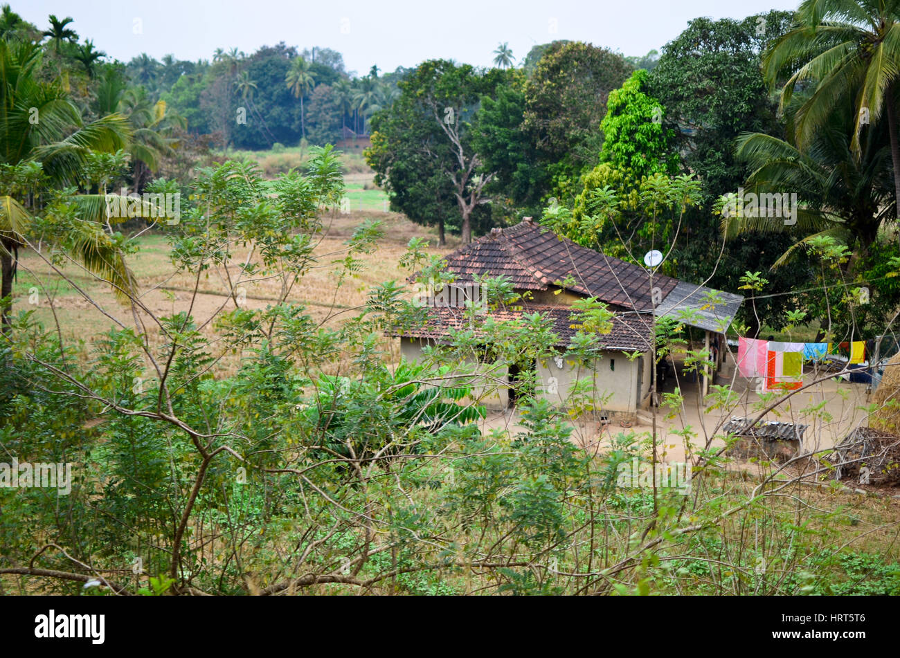 Beautiful landscape of rural India. Scene captured during travel by ...