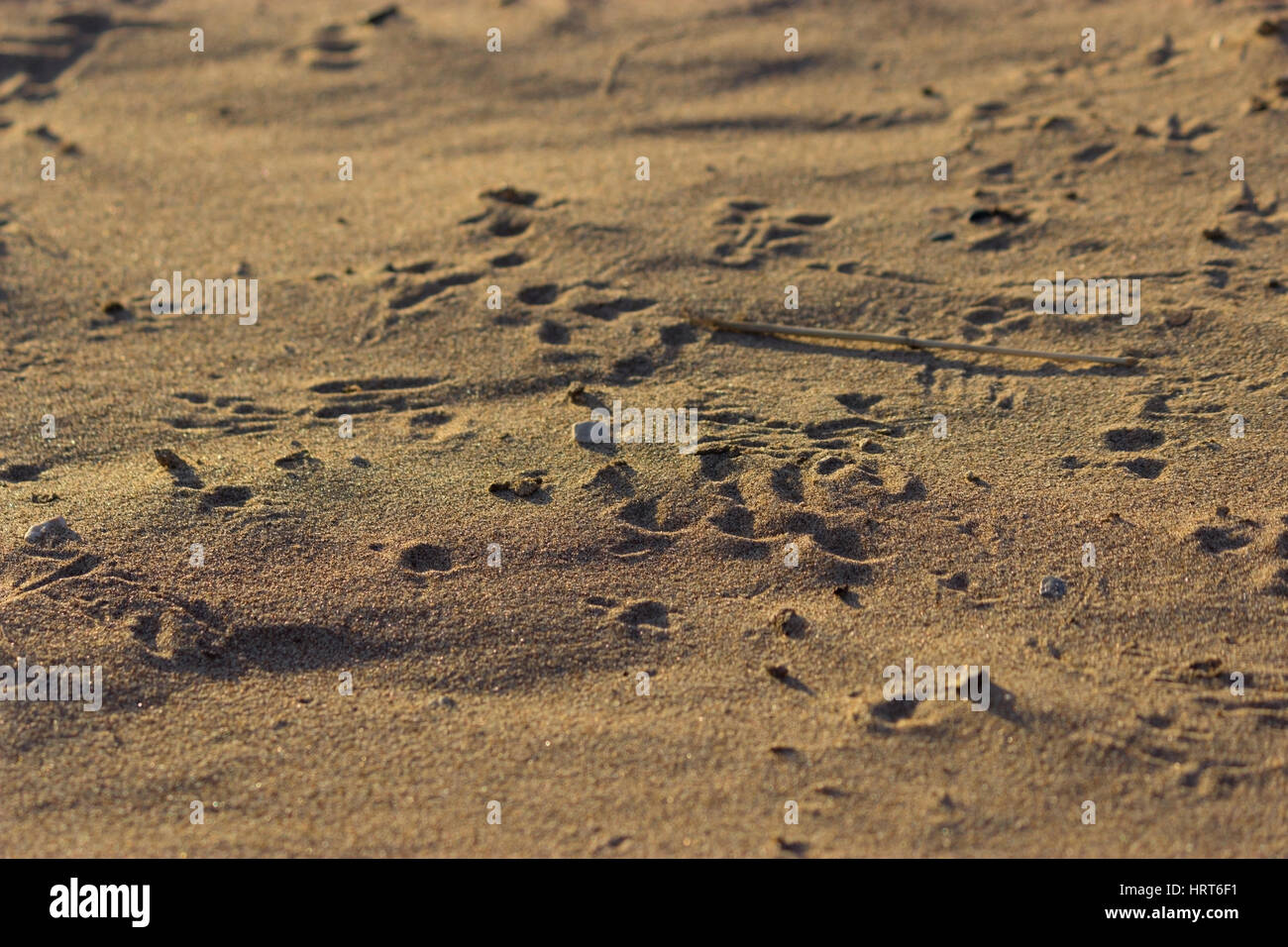 Rounded grey granite rocks beach hi-res stock photography and images ...