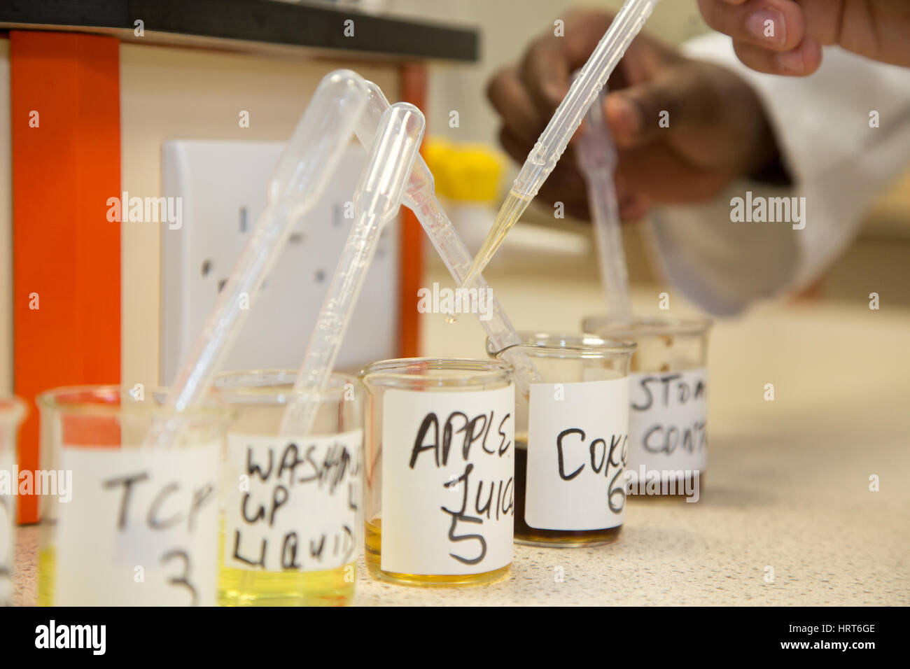 Beakers containing liquids for college students to use for ...