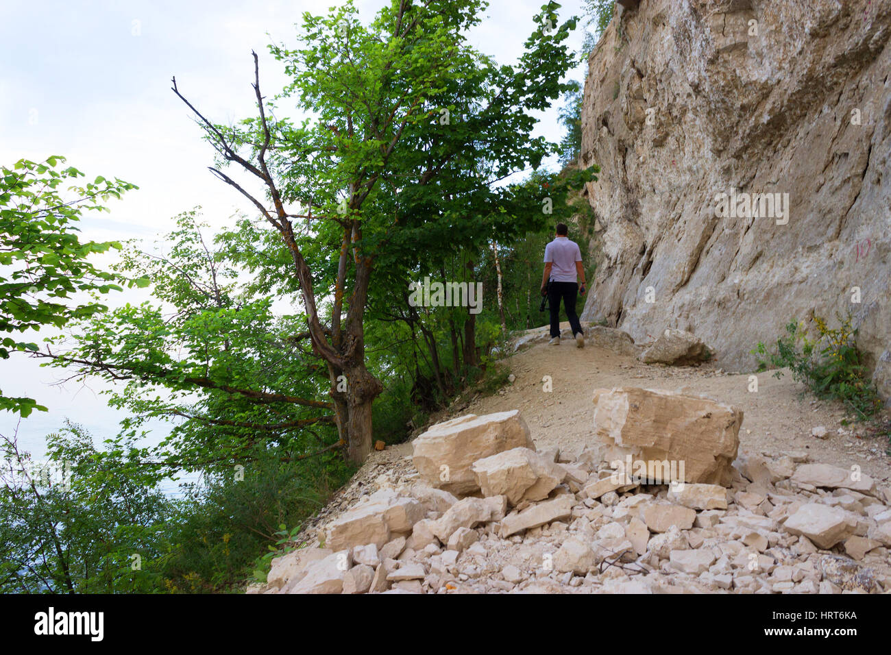 Men and dog on rocky road. trees Stock Photo - Alamy