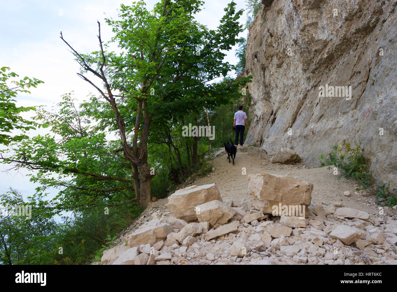 Men and dog on rocky road. trees Stock Photo - Alamy