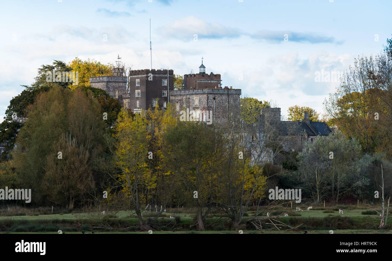 A winter view of Powderham Castle with fallow deer grazing on the ...