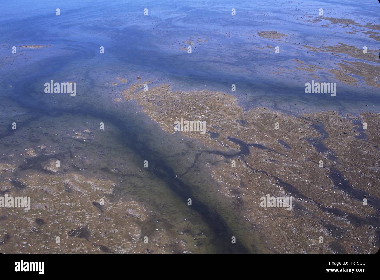 Aerial views of the tidal planes, tundra or taiga ecosystem Hudson Bay ...