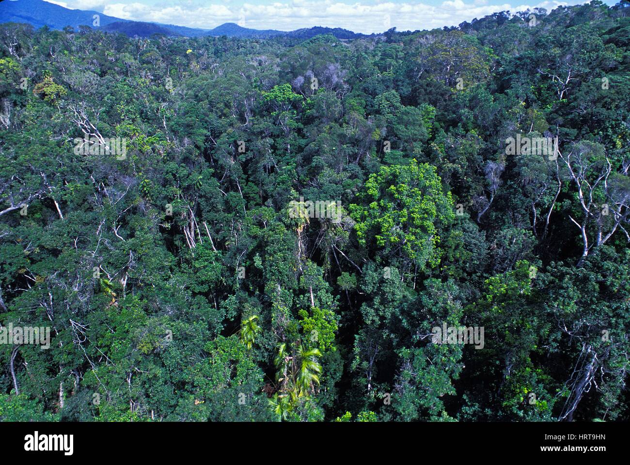 Australian ecosystem hi-res stock photography and images - Alamy