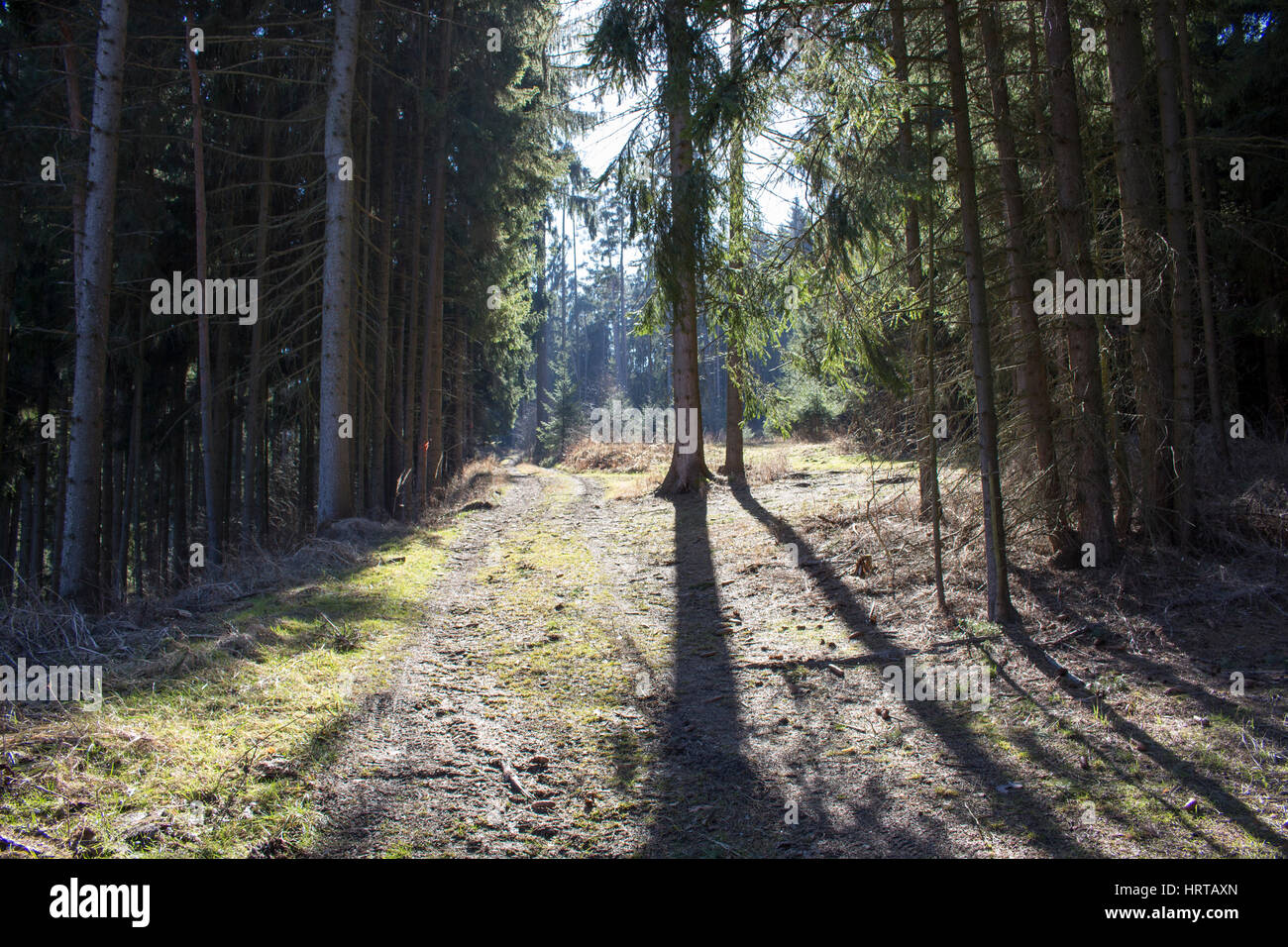 Sunlight based hi-res stock photography and images - Alamy