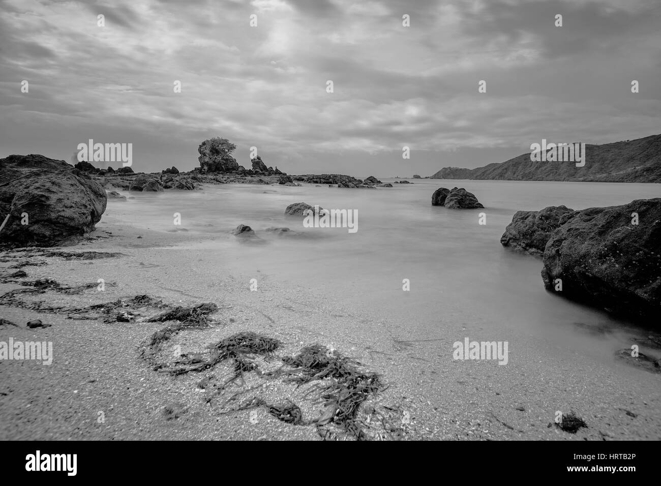 Dog summer holidays Black and White Stock Photos & Images - Alamy