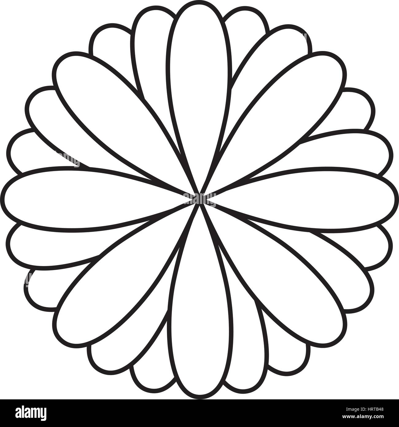 monochrome oval petals forming flower Stock Vector Image & Art - Alamy