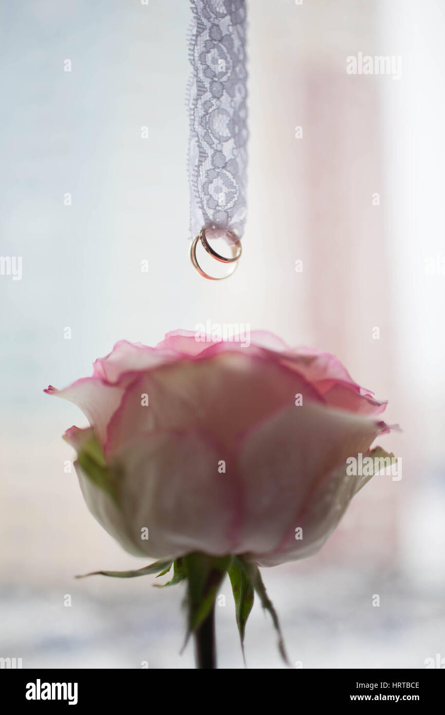 Lacy rose hi-res stock photography and images - Alamy