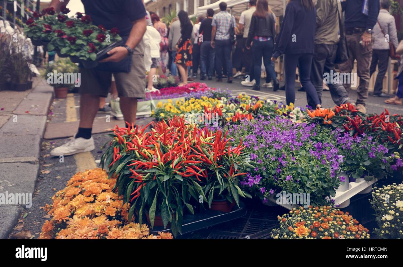 Beautiful colourful flowers hi-res stock photography and images - Alamy