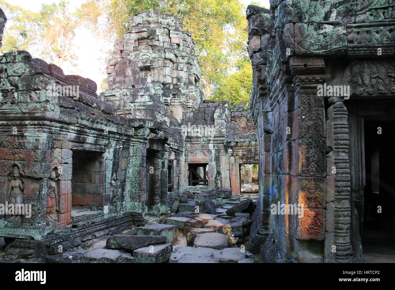 Temple Ta Phrom in Angkor Park, Cambodia Stock Photo - Alamy