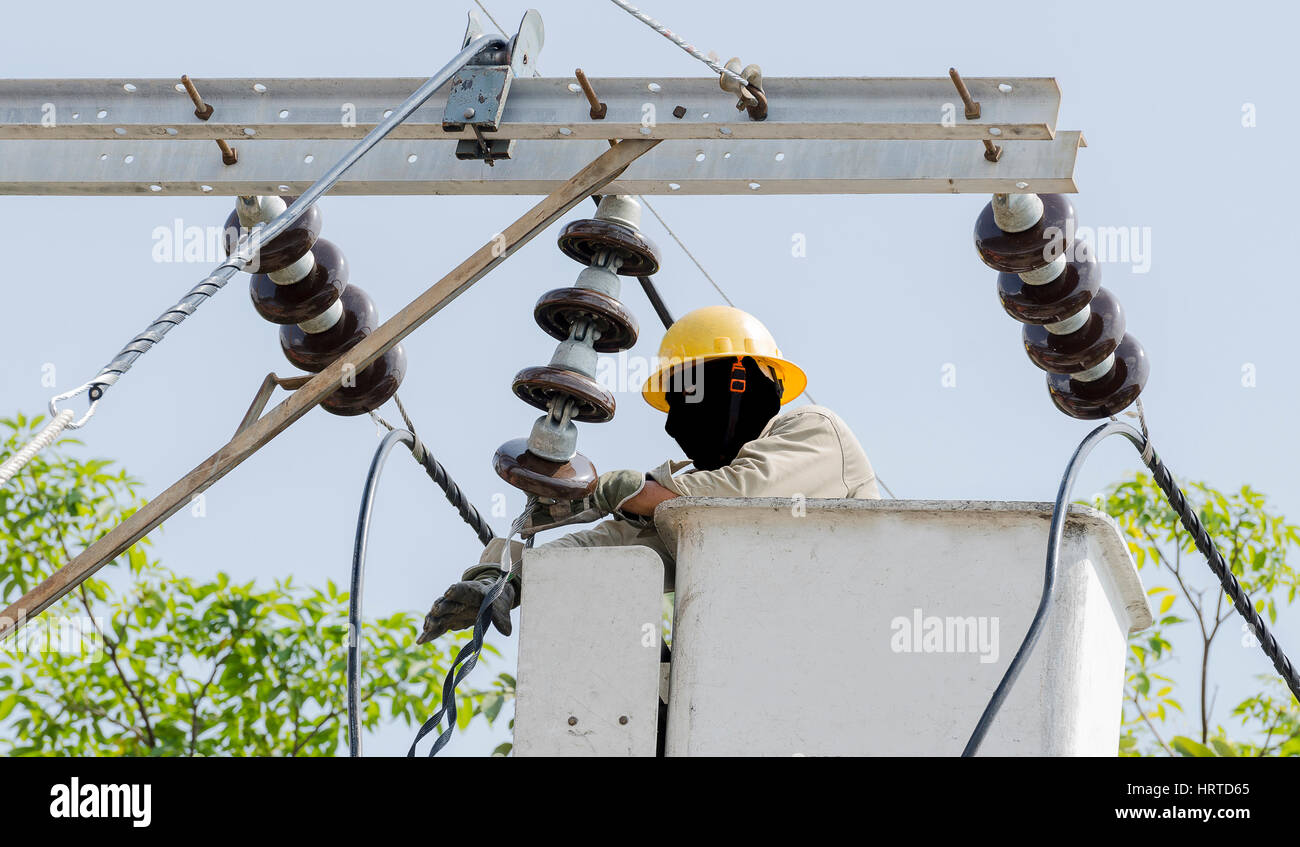 On an electric pole hi-res stock photography and images - Alamy