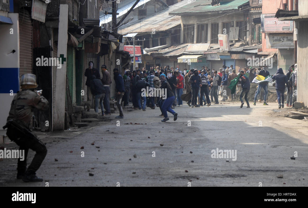 Pellet eyes hi-res stock photography and images - Alamy