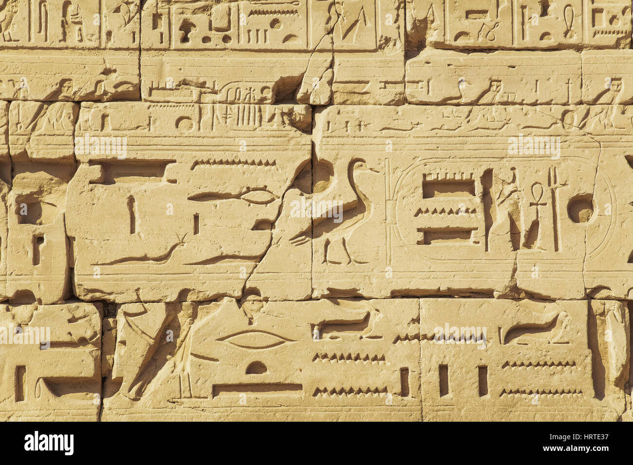 Egyptian hieroglyphic pattern hi-res stock photography and images - Alamy