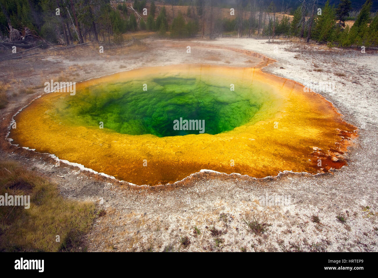 Thermal Pool Yellowstone National Park Usa Algae High Resolution Stock ...