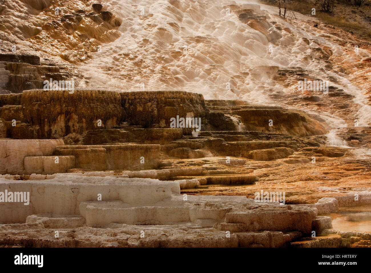 Mammoth terraces hi-res stock photography and images - Alamy