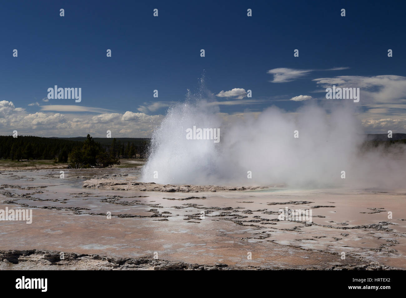 Yellowstone thermal feature hi-res stock photography and images - Alamy