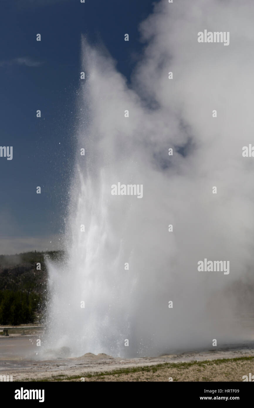 Daisy Geyser Upper Geyser Basin erupting, Yellowstone National Park ...