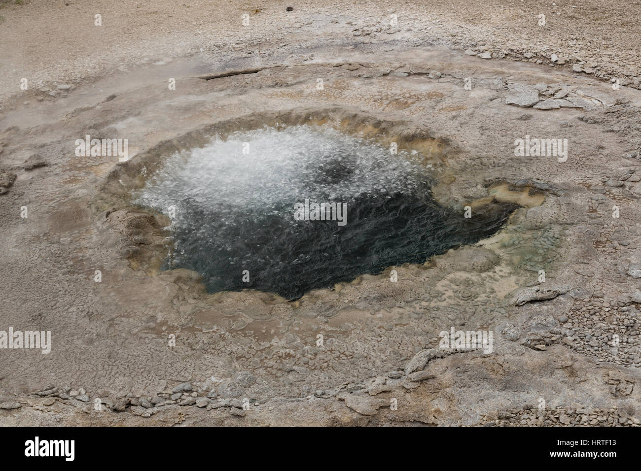 Beach Spring in Upper Geyser Basin erupting, Yellowstone National Park ...