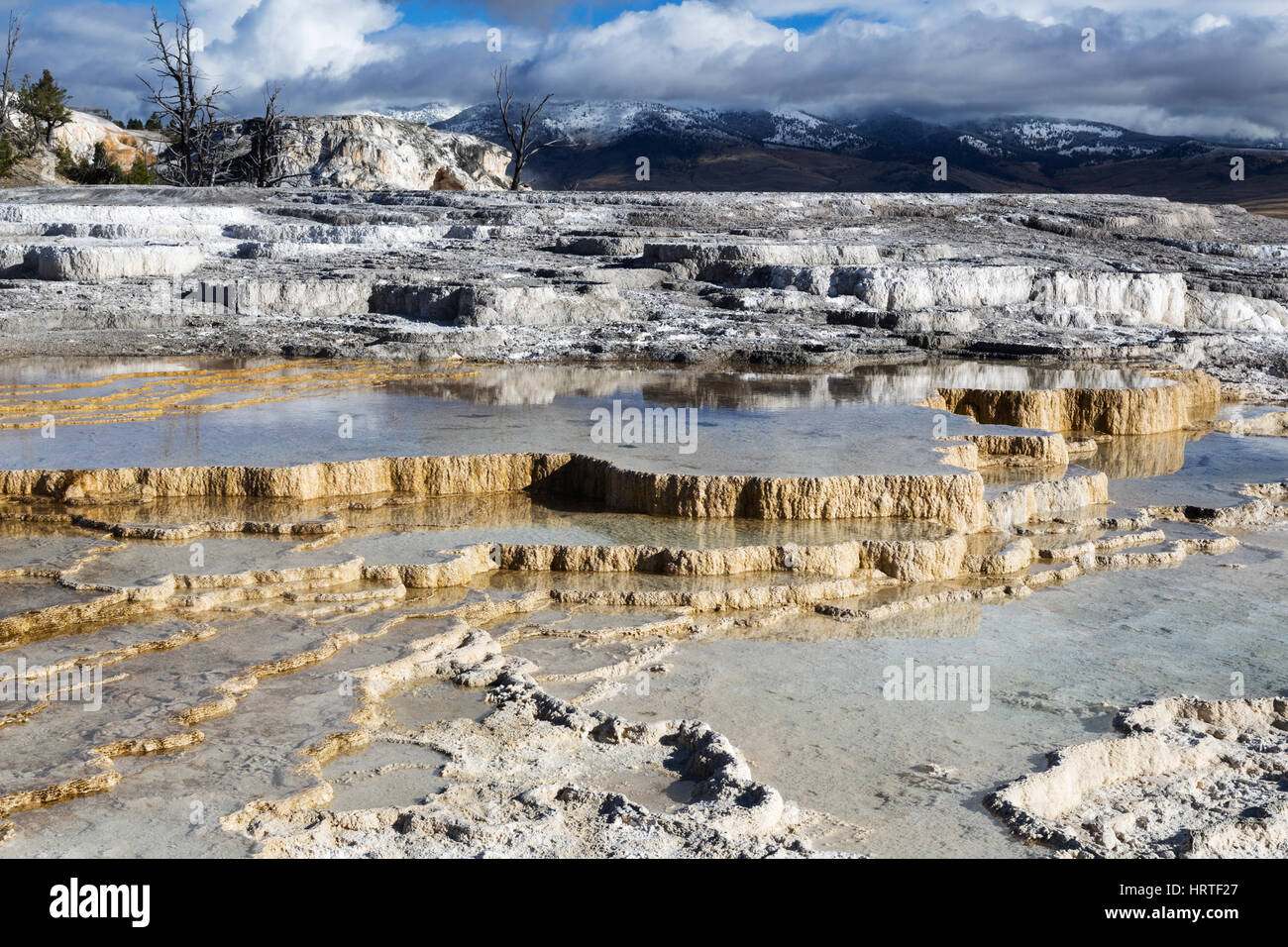 Canary Springs in Mammoth Hot Springs Terraces, Yellowstone National ...