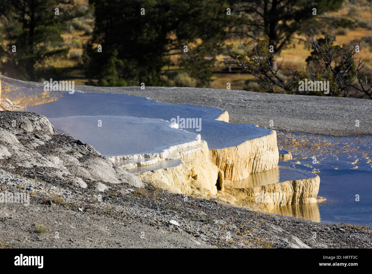 Palette Spring in Mammoth Hot Springs Terraces, Yellowstone National ...