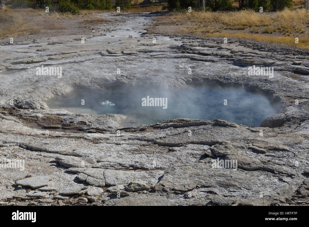 Spa Geyser in Upper Geyser Basin, Yellowstone National Park, USA Stock ...