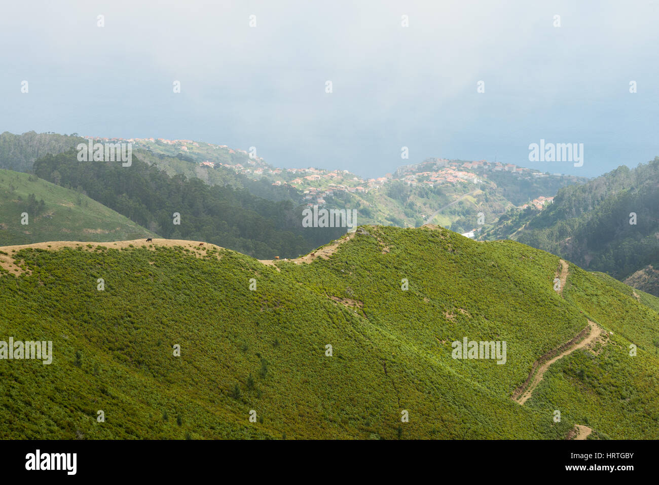 Scenic landscape of Madeira island, Portugal Stock Photo - Alamy