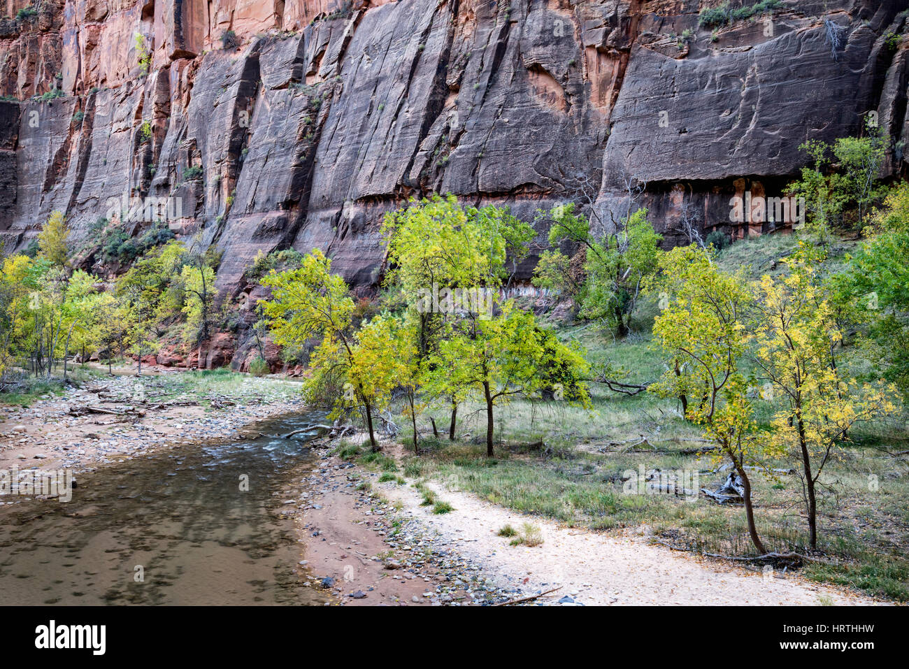 Zion National Park in Fall Color Stock Photo - Alamy