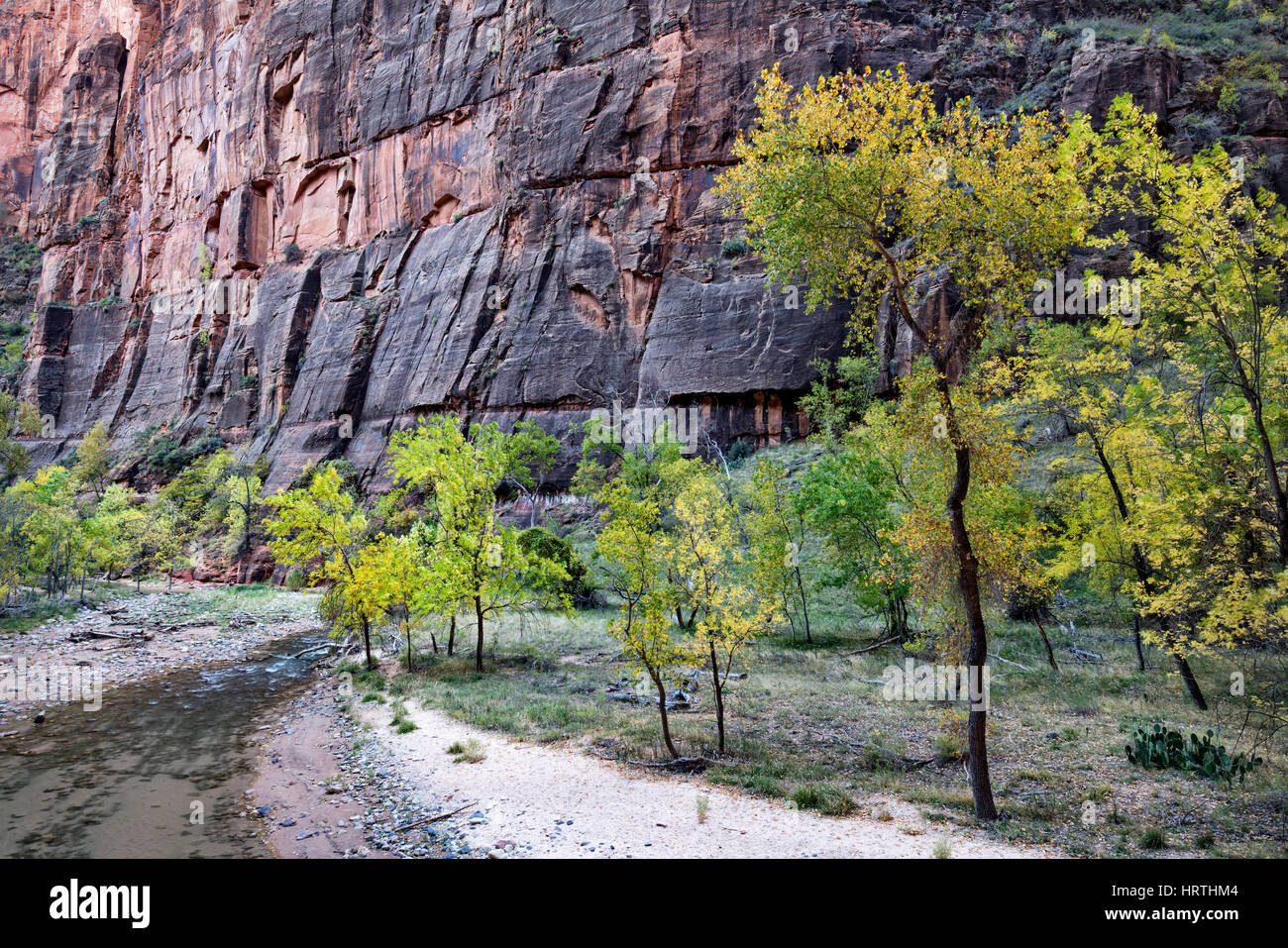 Zion National Park in Fall Color Stock Photo - Alamy