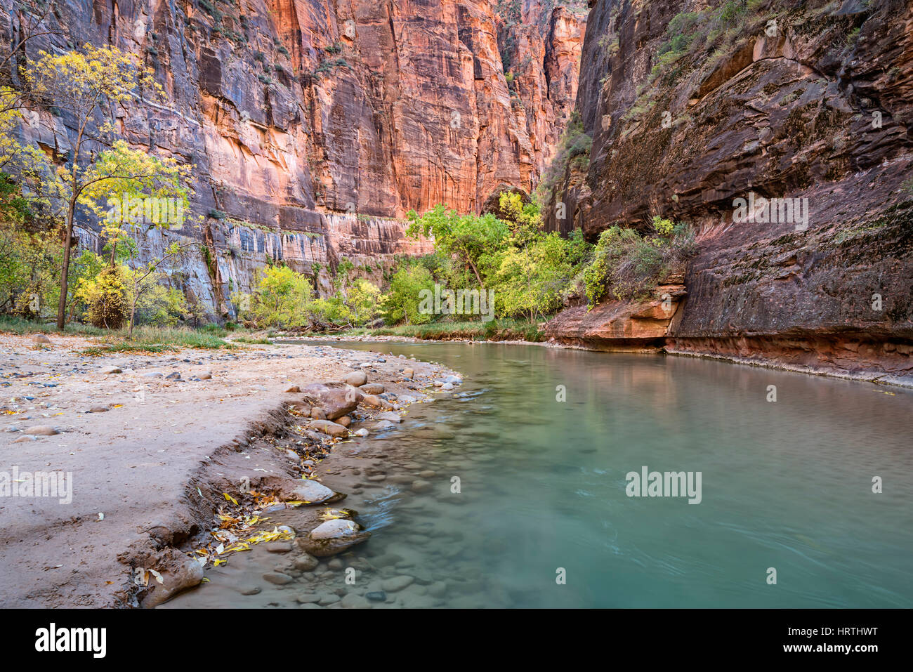 Virgin river and red cliffs of Zion National Park Stock Photo - Alamy