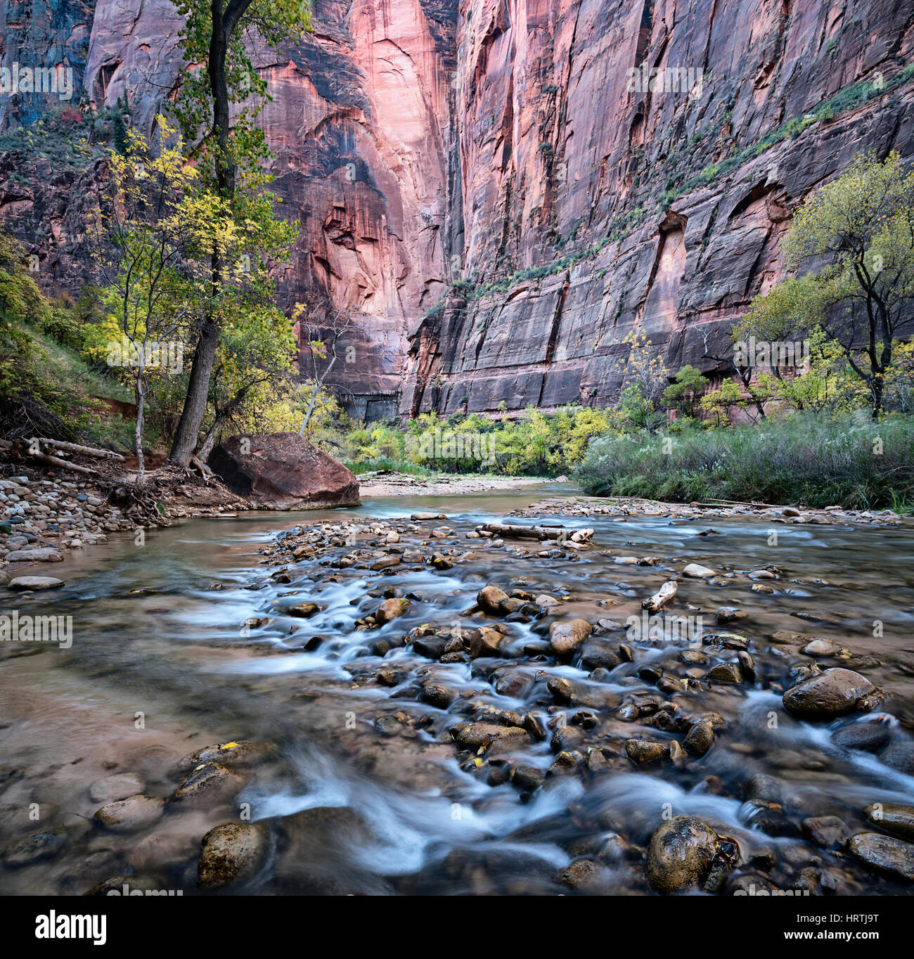 Pierre steenberg photography hi-res stock photography and images - Alamy