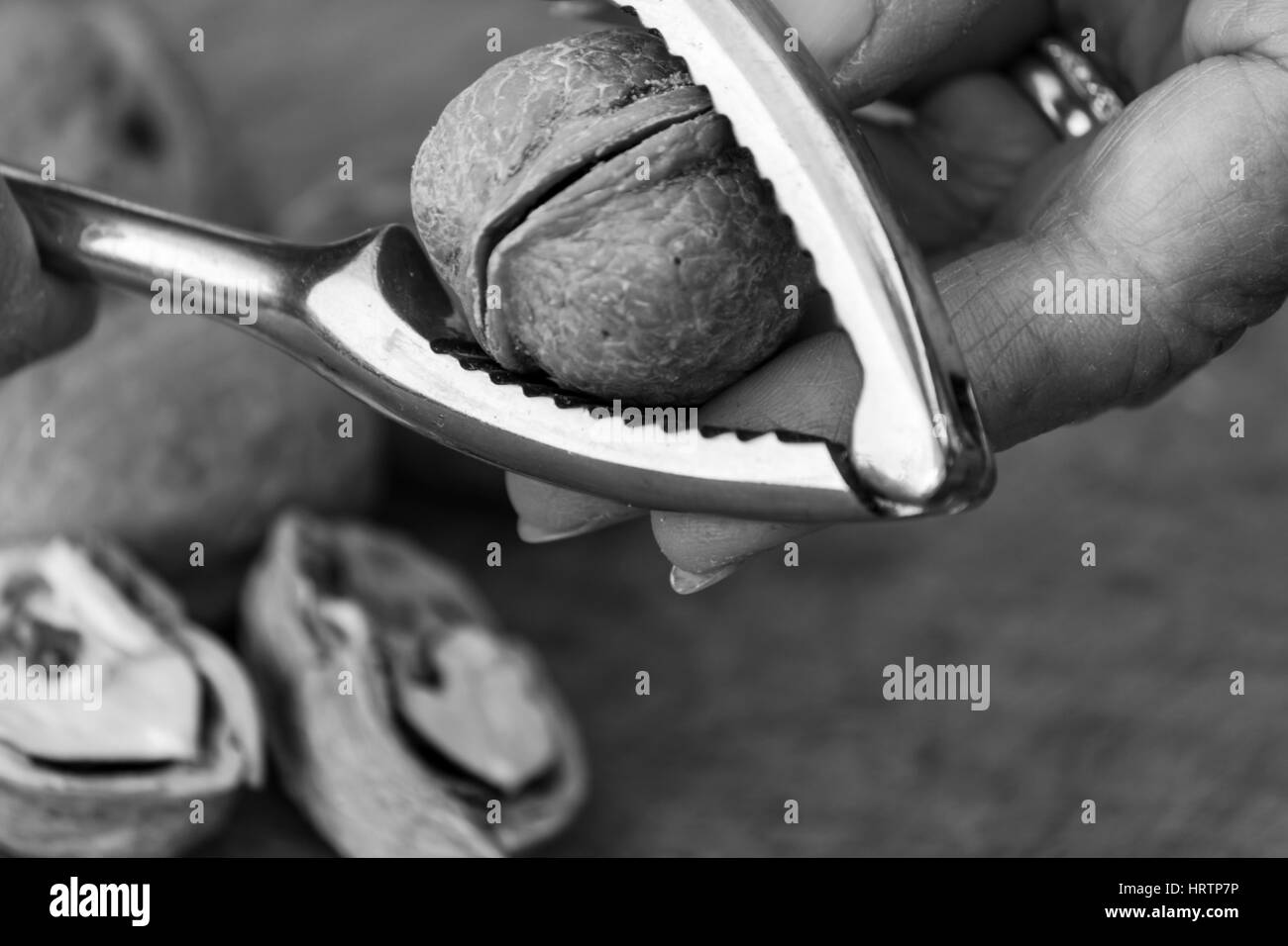 Cracking open shell hi-res stock photography and images - Alamy