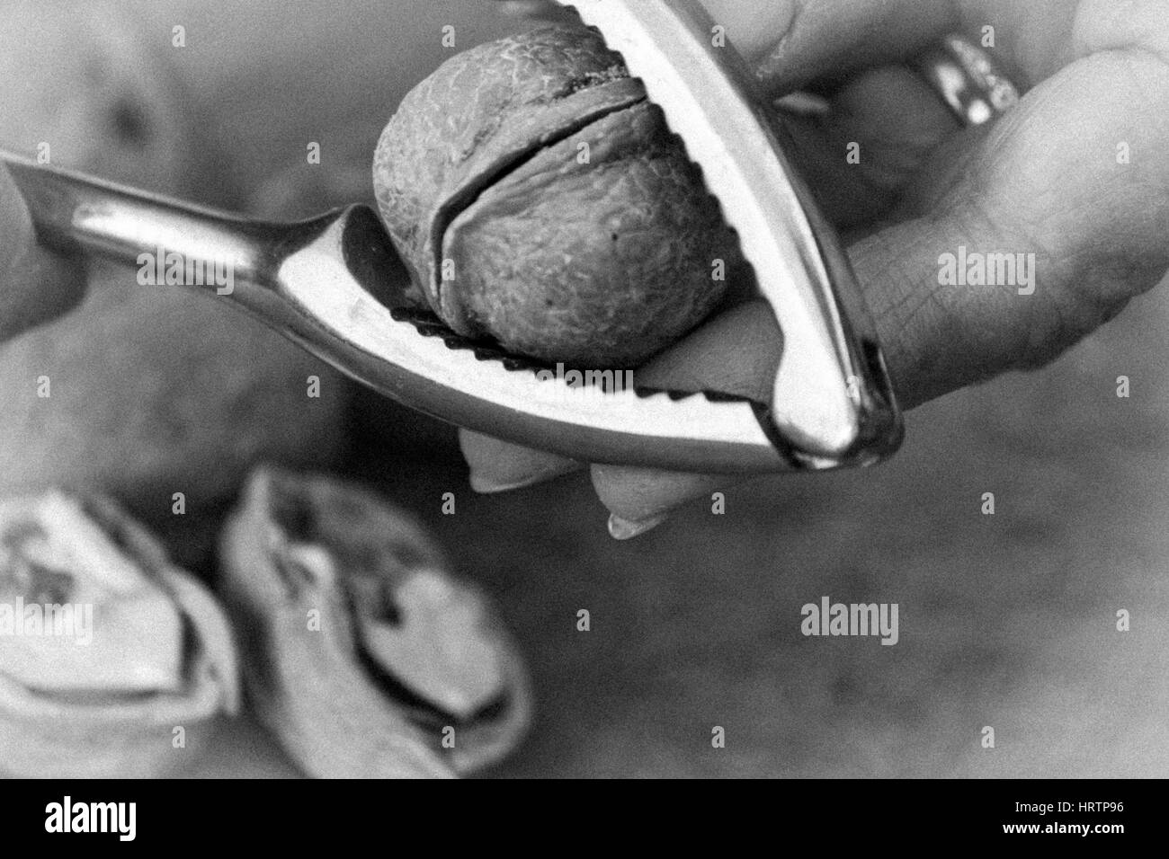 Cracking open shell hi-res stock photography and images - Alamy