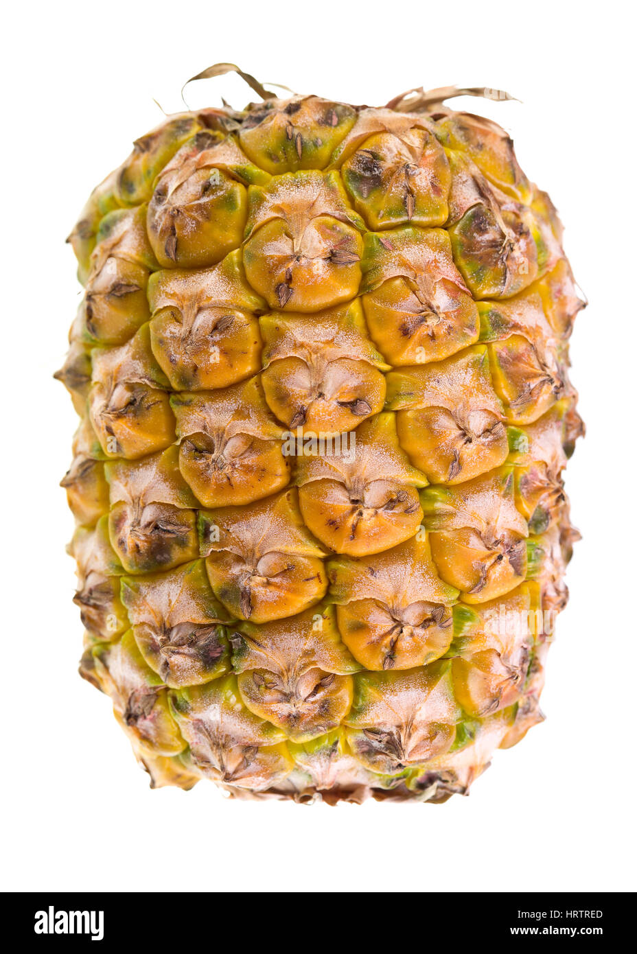 Closeup of a pineapple (Ananas comosus), a tropical plant with an ...