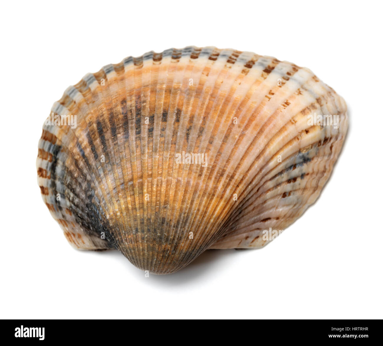 Water sea ocean top view Cut Out Stock Images & Pictures - Alamy