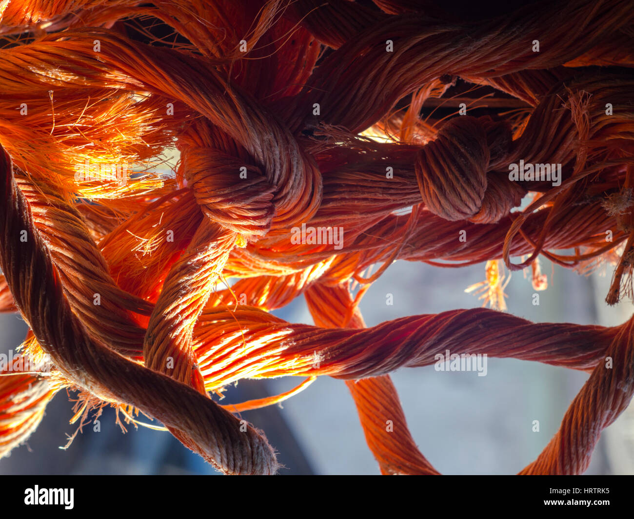 the old bright orange rope strangely intertwined Stock Photo - Alamy