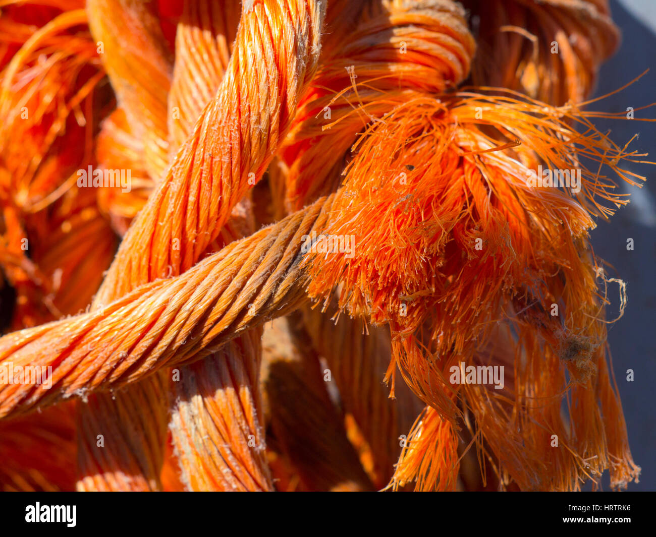 the bright orange rope strangely intertwined close up Stock Photo - Alamy