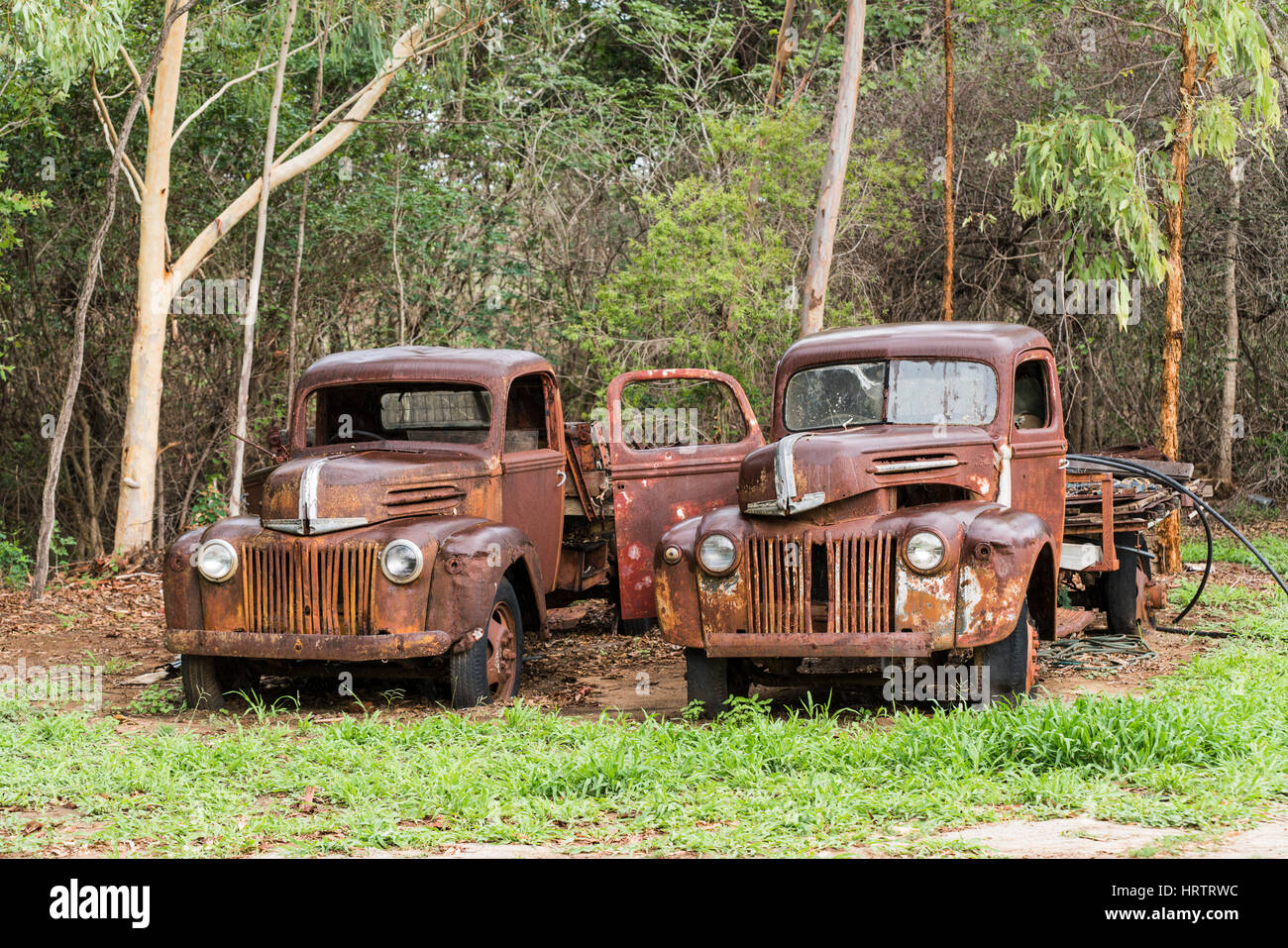 Two old abandoned rusty Ford trucks in field Stock Photo - Alamy