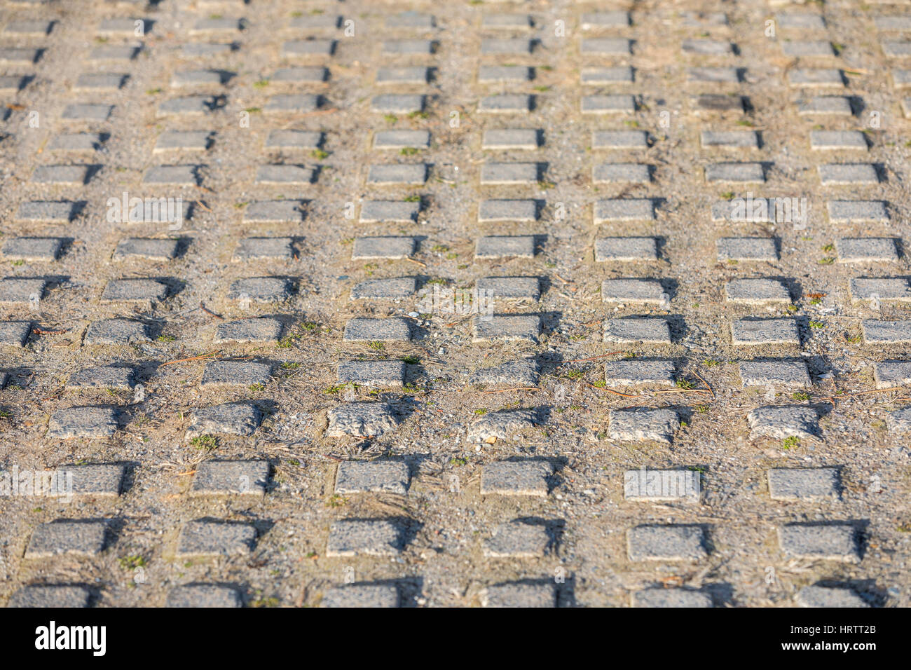 concrete grid that is part of a driveway Stock Photo - Alamy