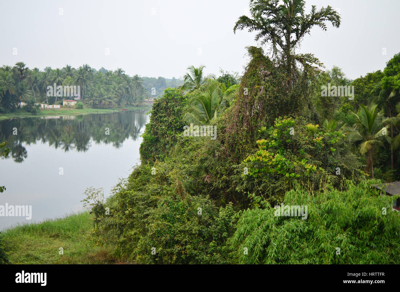 Beautiful landscape of rural India. Scene captured during a train ...