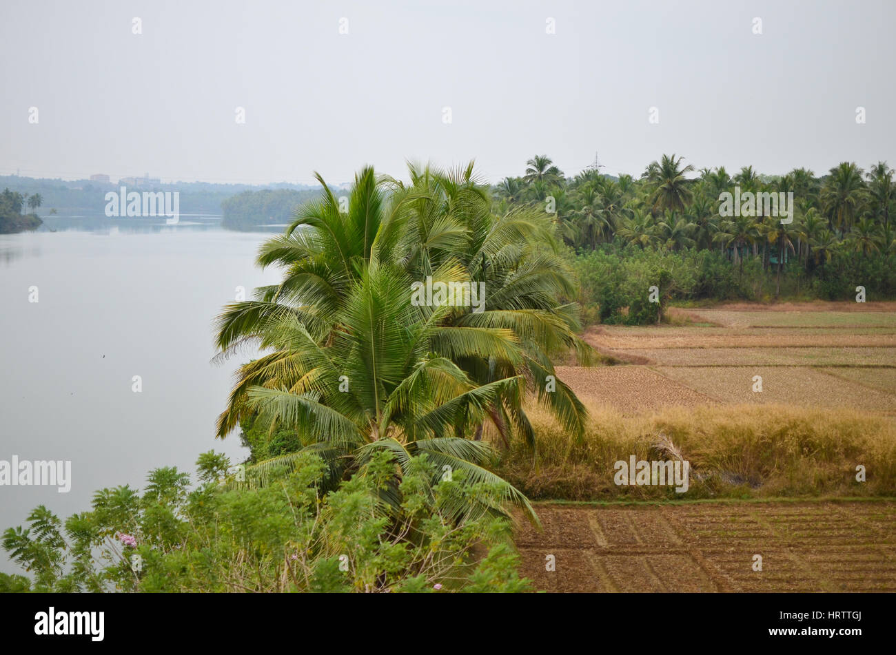 Beautiful landscape of rural India. Scene captured during a train ...
