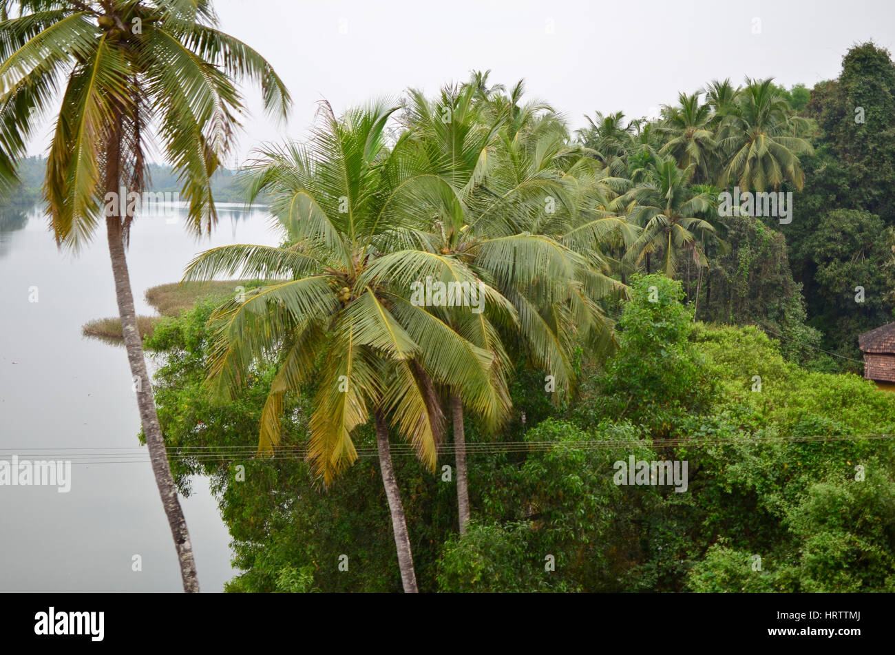Beautiful landscape of rural India. Scene captured during a train ...