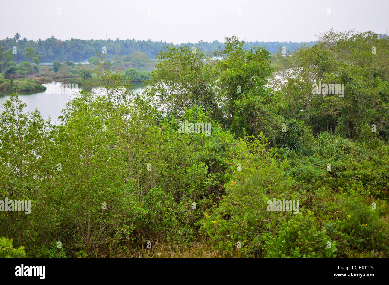 Beautiful landscape of rural India. Scene captured during a train ...