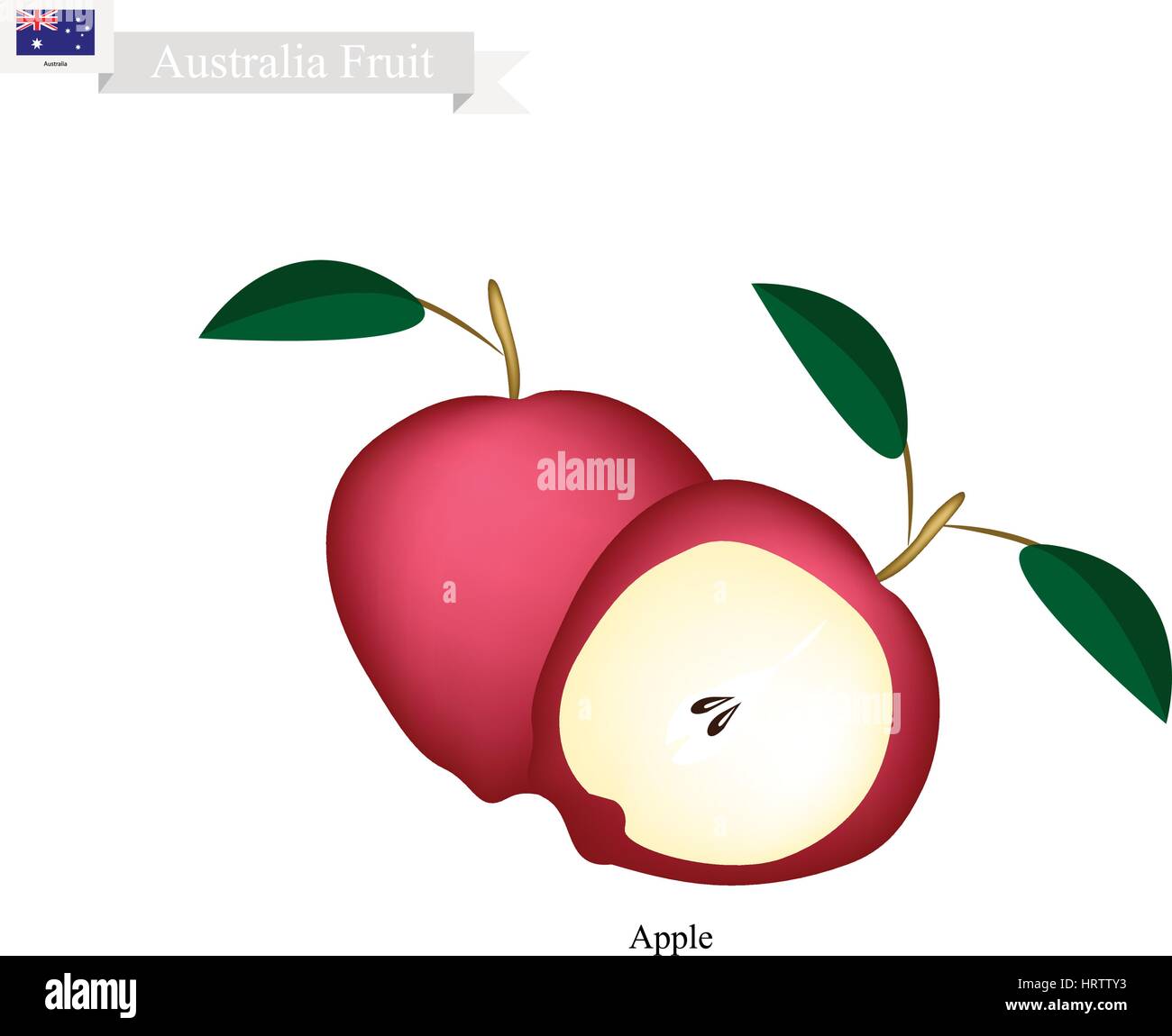 Australia Fruit, Illustration of Red Apple. The National Fruit of ...