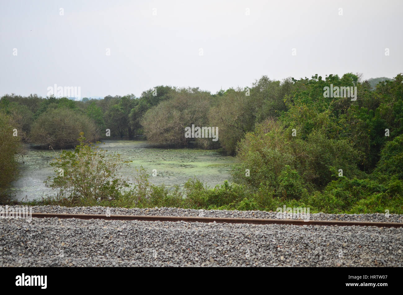 Train view goa hi-res stock photography and images - Alamy