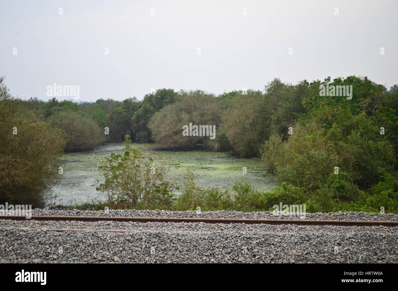 Beautiful landscape of rural India. Scene captured during a train ...