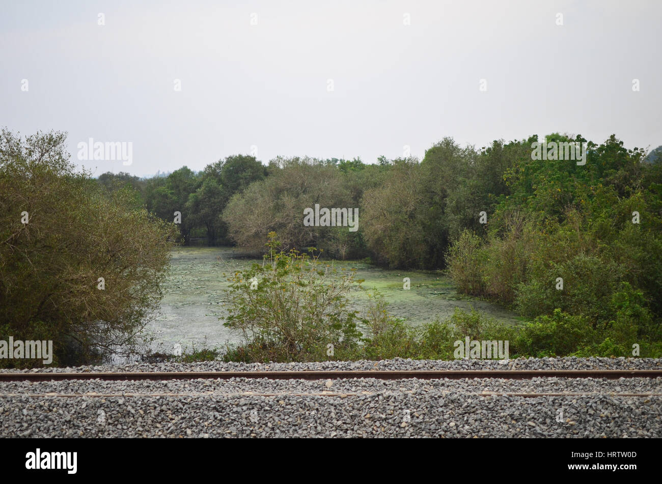 Beautiful landscape of rural India. Scene captured during a train ...