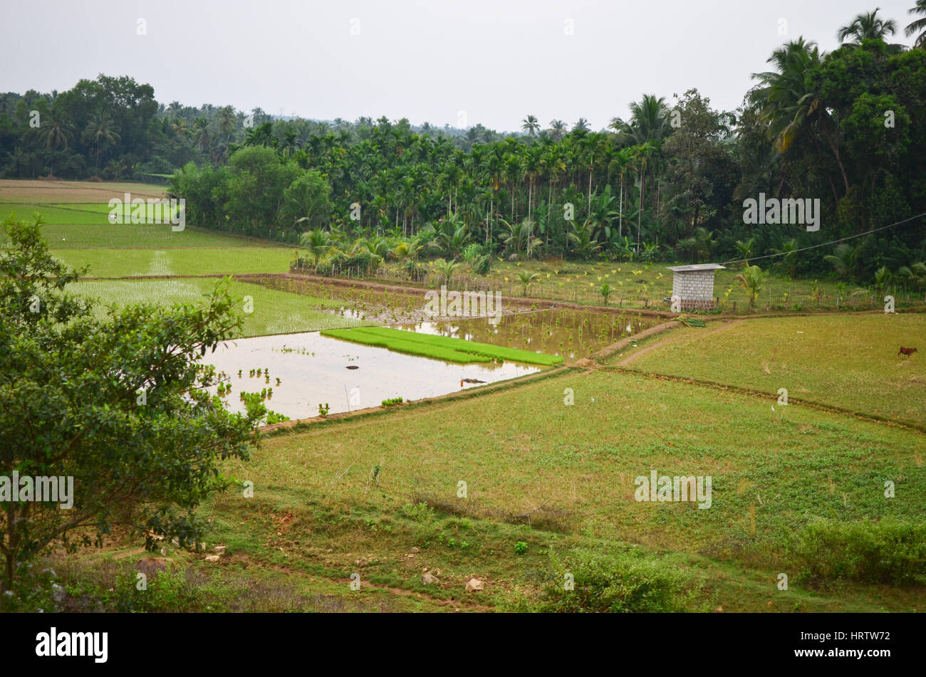 Beautiful landscape of rural India. Scene captured during a train ...