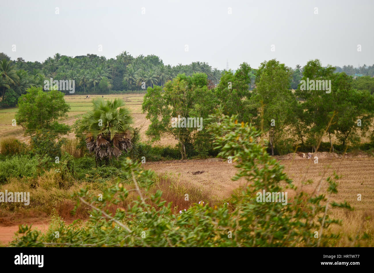 Beautiful landscape of rural India. Scene captured during a train ...