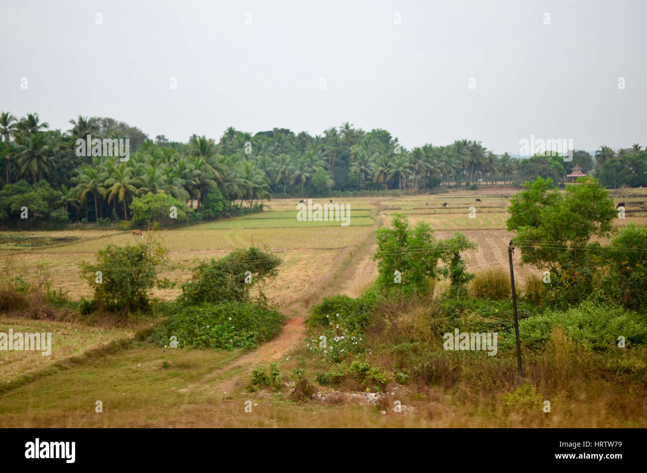 Beautiful landscape of rural India. Scene captured during a train ...